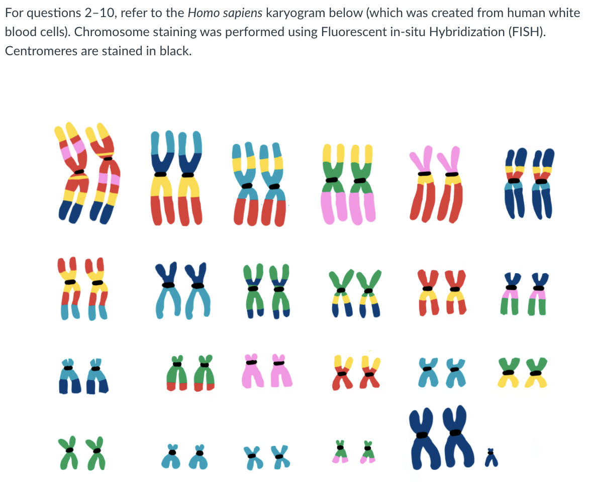 Solved For questions 2-10, refer to the Homo sapiens | Chegg.com