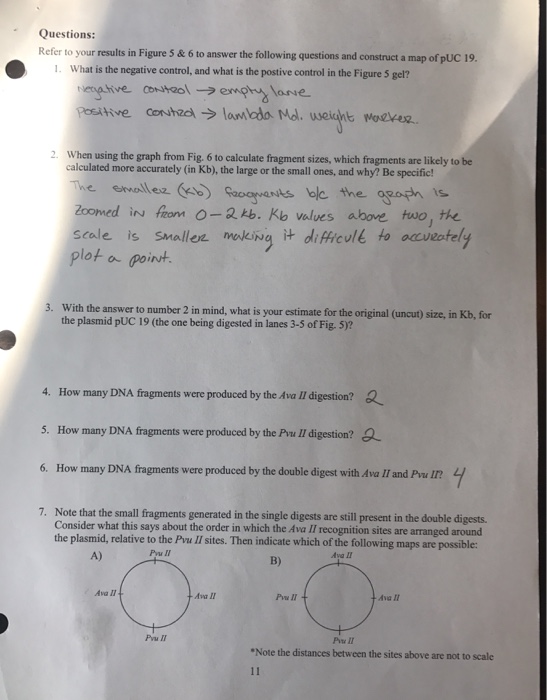 Solved Use the data presented in Figure 5 below to calculate | Chegg.com