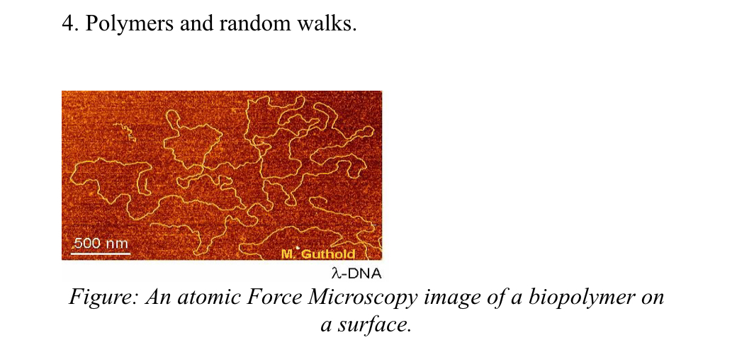 Solved 1-Make your best estimate of the persistence length | Chegg.com