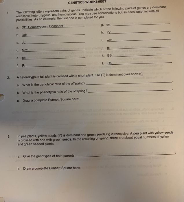 Solved GENETICS WORKSHEET The following letters represent | Chegg.com