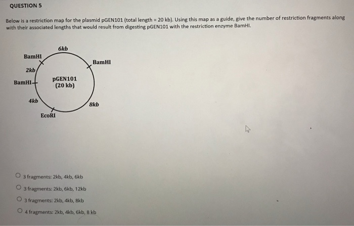 Solved QUESTION5 Below is a restriction map for the plasmid | Chegg.com