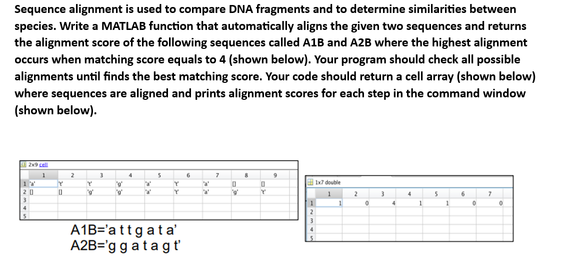 Solved Sequence alignment is used to compare DNA fragments | Chegg.com