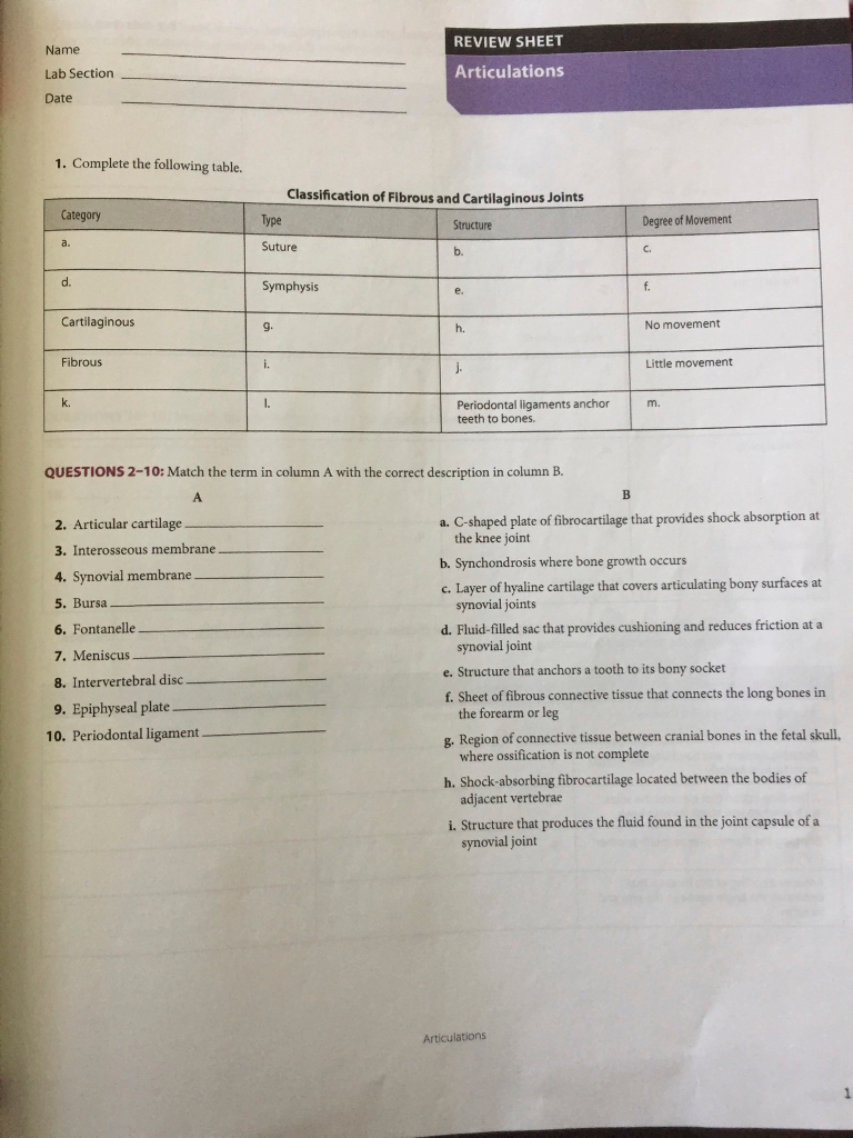 Solved REVIEW SHEET Name Lab Section Date Articulations 1. | Chegg.com