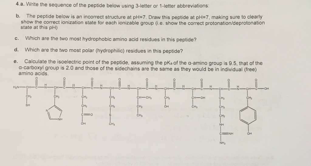 Solved 4.a. Write the sequence of the peptide below using | Chegg.com