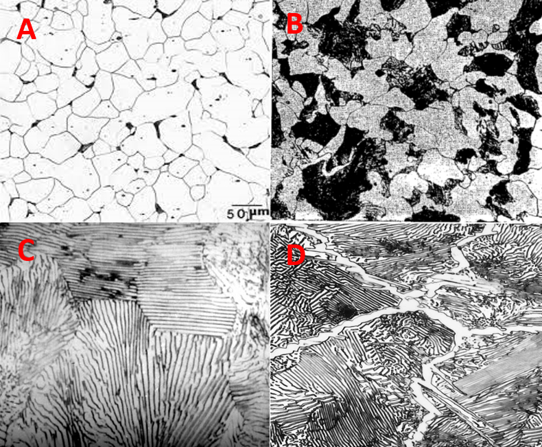 Solved Match the below micrographs of four plain carbon | Chegg.com