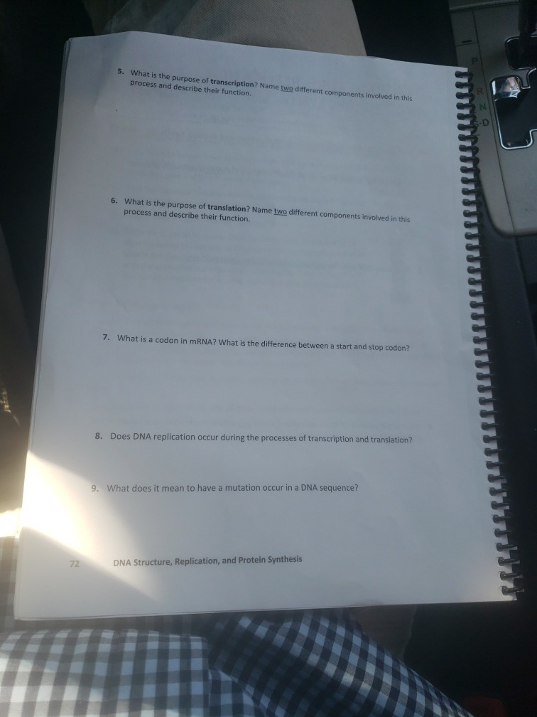 Solved 5. What is the purpose of transcription? Name two | Chegg.com