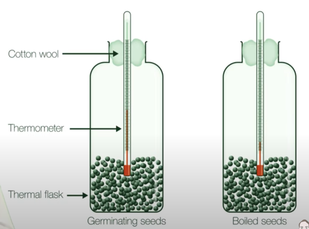 Solved Energy Liberation Explain the results of the | Chegg.com