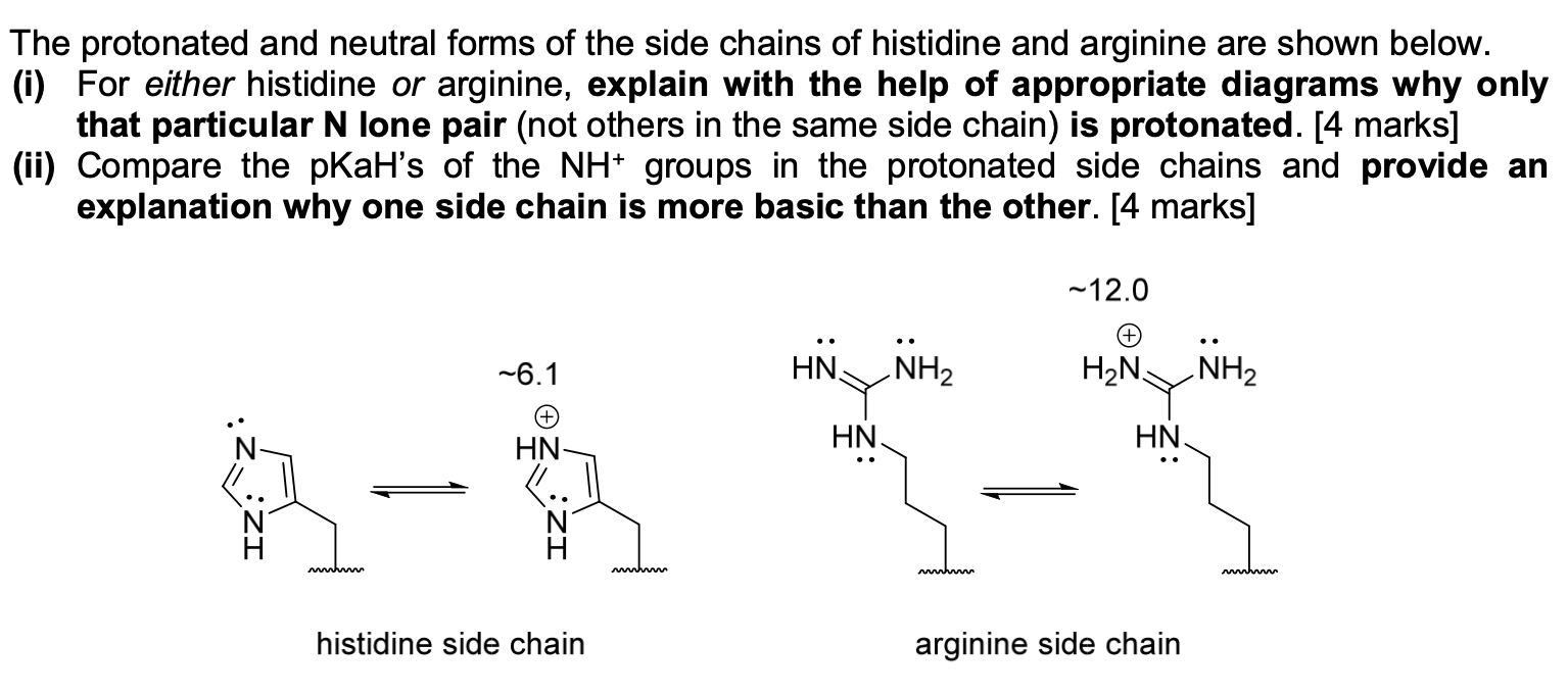 Solved The protonated and neutral forms of the side chains | Chegg.com