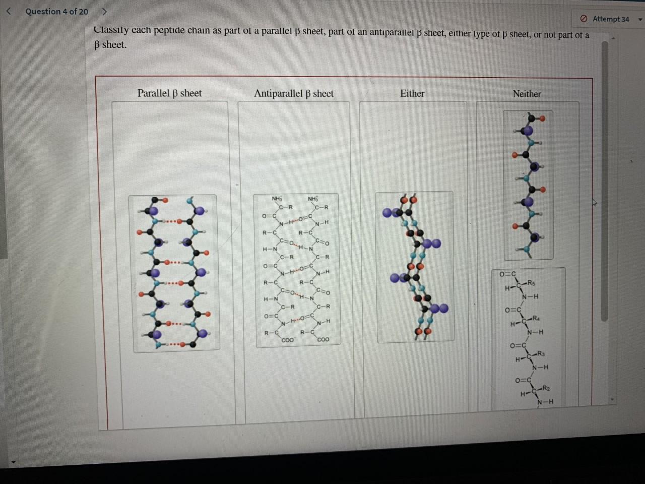 Solved Question 4 of 20 > Attempt 34 Classify each peptide | Chegg.com