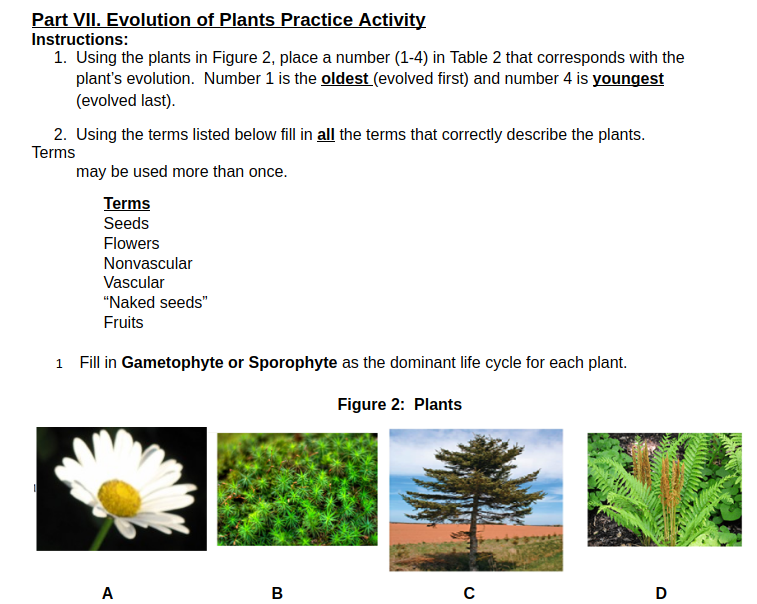 Solved Part VII. Evolution of Plants Practice Activity | Chegg.com
