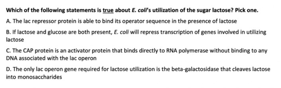 Solved Which Of The Following Statements Is True About E