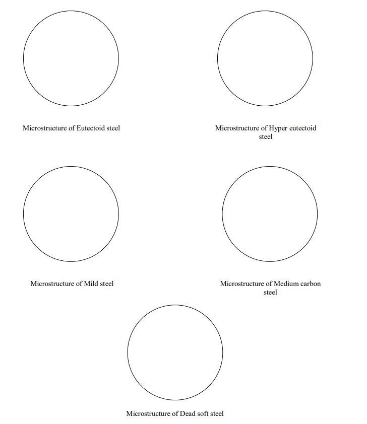 Solved Microstructure Of Eutectoid Steel Microstructure Of