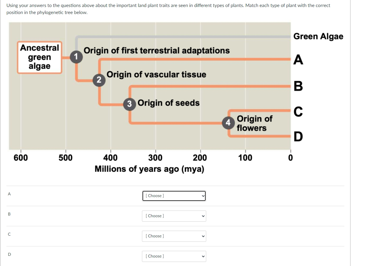 Solved Using your answers to the questions above about the | Chegg.com