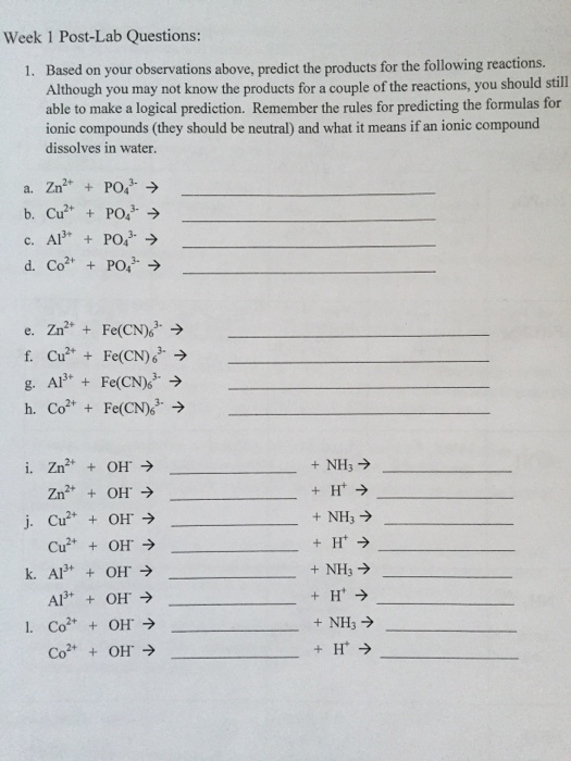 Solved Based on your observations above, predict the | Chegg.com