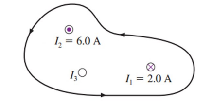 Solved The line integral of the magnetic field around the | Chegg.com