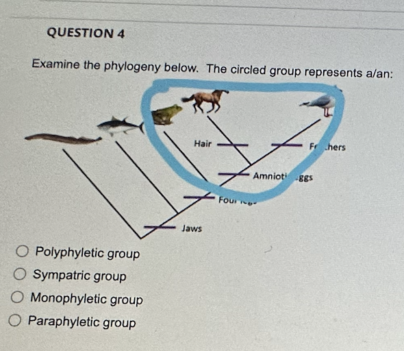 Solved Examine the phylogeny below. The circled group | Chegg.com