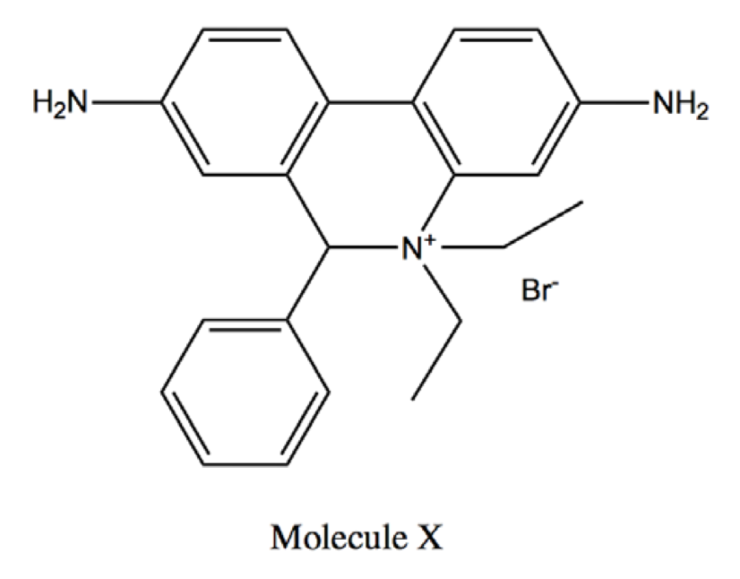 Solved Ethidium Bromide is used to vizualize DNA molecules | Chegg.com