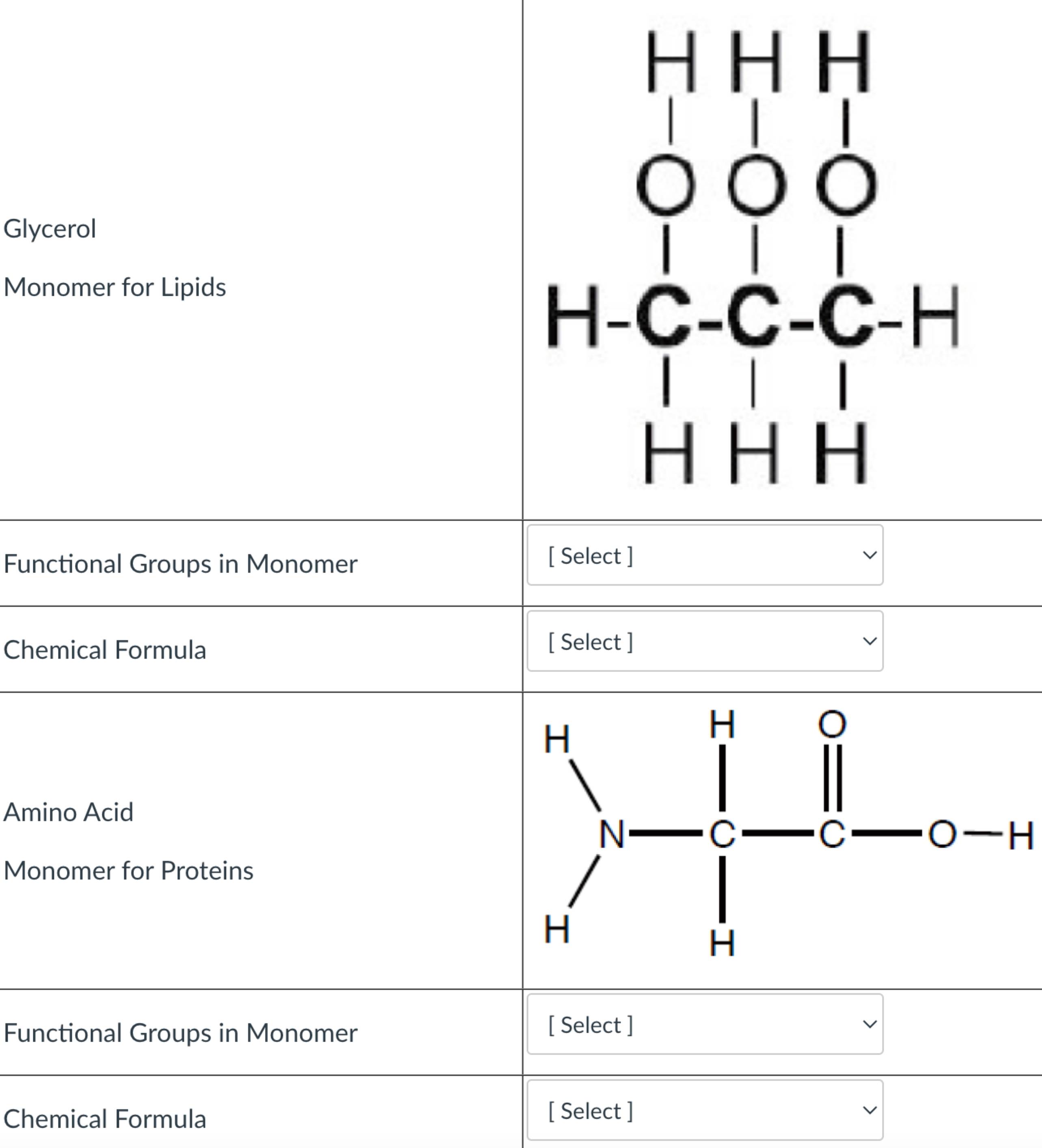 Solved Functional Groups in MonomerChemical Formula | Chegg.com