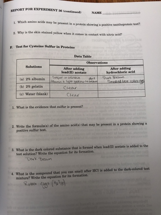 REPORT FOR EXPERIMENT 36 (continued) NAME 1. Which | Chegg.com