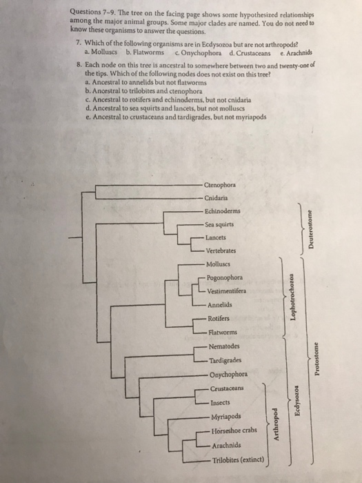 Solved Questions 7-9. The tree on the fac among the major | Chegg.com
