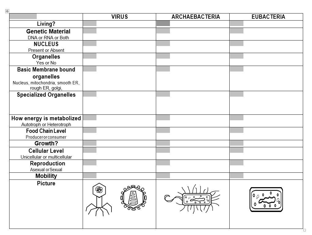 Solved VIRUS ARCHAEBACTERIA EUBACTERIA Living? Genetic | Chegg.com
