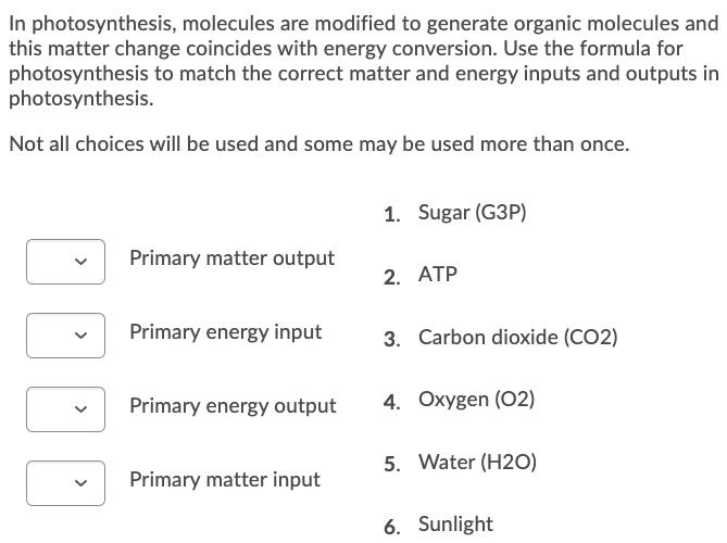 Solved In photosynthesis, molecules are modified to generate | Chegg.com