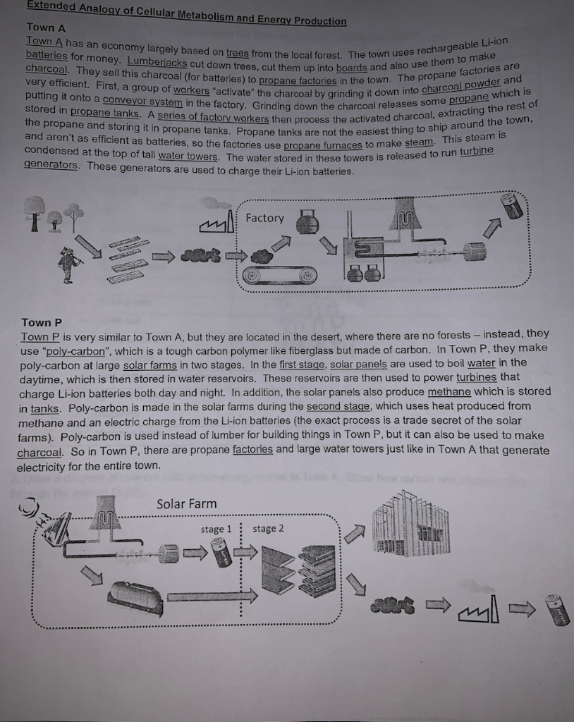 Solved Extended Analogy of Cellular Metabolism and Eneray | Chegg.com