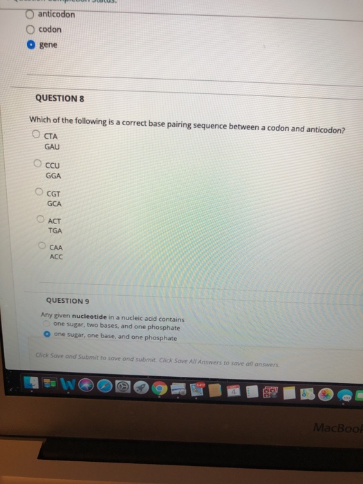 Solved O anticodon O codon O gene QUESTION 8 Which of the | Chegg.com