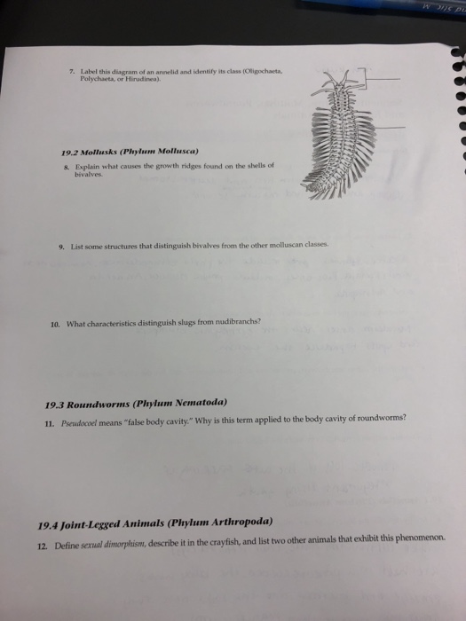 Solved 7. Label this diagram of an annelid and identily its | Chegg.com