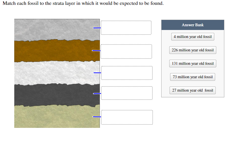 Solved Match each fossil to the strata layer in which it | Chegg.com