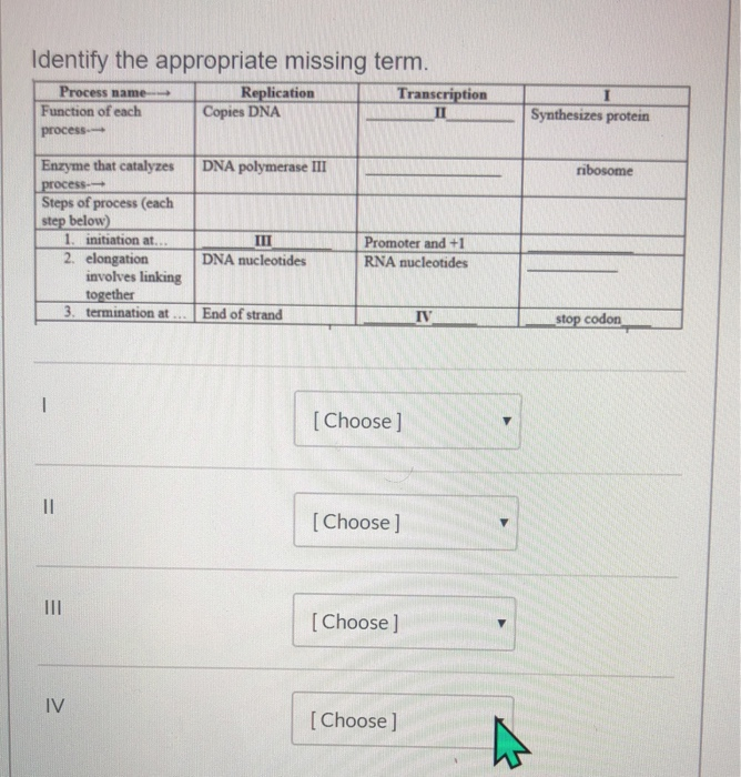 Solved Identify the appropriate missing term. Process name | Chegg.com