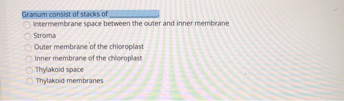 Solved Granum consist of stacks of Intermembrane space | Chegg.com