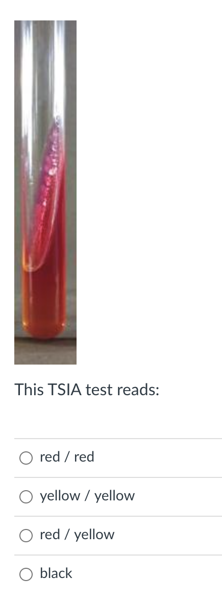Solved This TSIA test reads: red / red yellow / yellow red / | Chegg.com