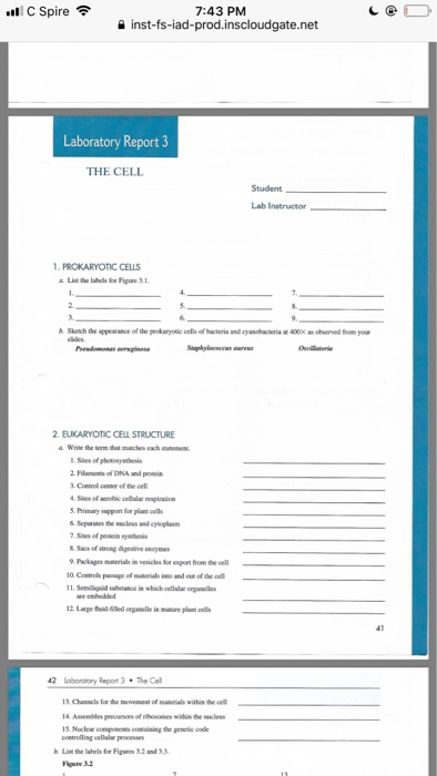 Solved lC Spire 7:43 PM inst-fs-iad-prod.inscloudgate.net | Chegg.com