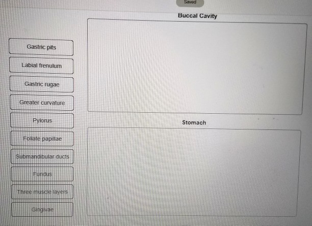 Solved Drag each label into the appropriate position in | Chegg.com