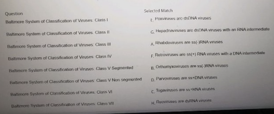 Solved Question Baltimore System of Classification of | Chegg.com