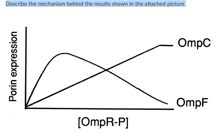 Solved Describe the mechanism behind the results shown in | Chegg.com