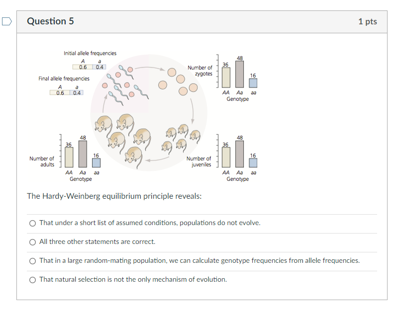 Solved The Hardy-Weinberg equilibrium principle reveals: | Chegg.com