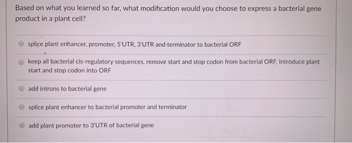 Solved Based on what you learned so far, what modification | Chegg.com