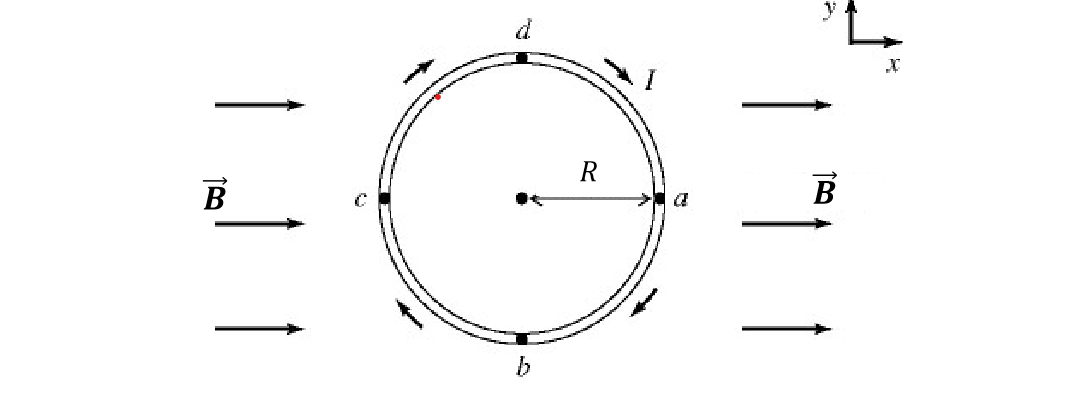 Solved A rigid circular loop has a radius R = 25.0 cm and is | Chegg.com