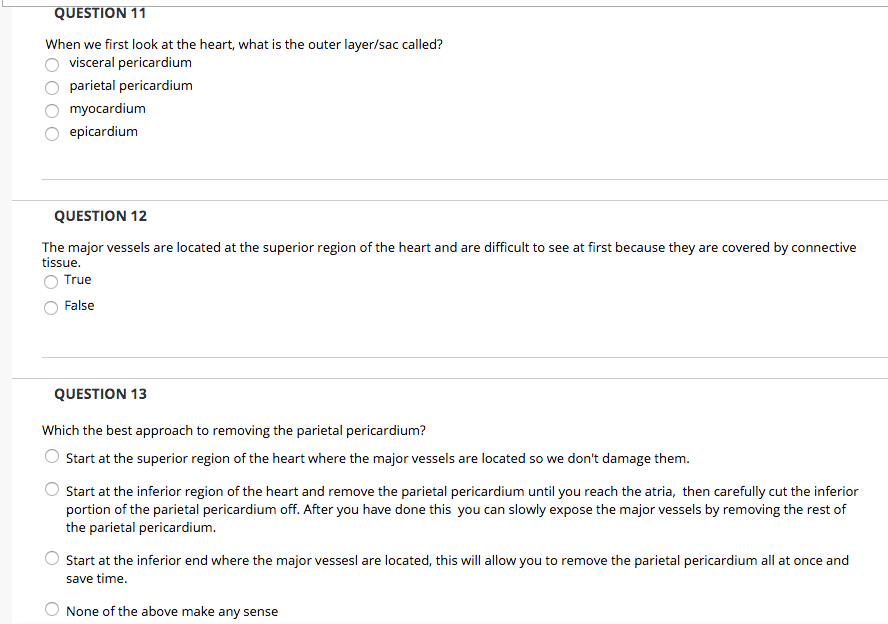 Solved QUESTION 11 When we first look at the heart, what is | Chegg.com
