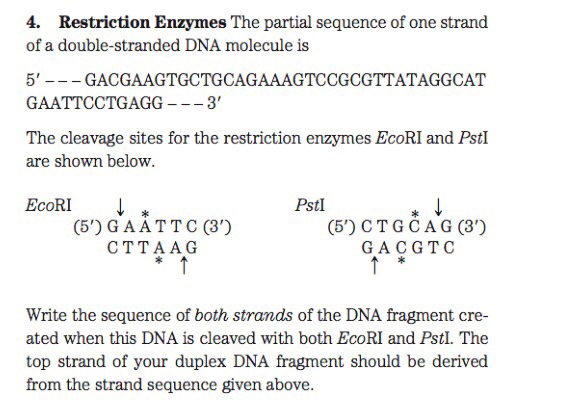 Solved 4 Restriction Enzymes The Partial Sequence Of One