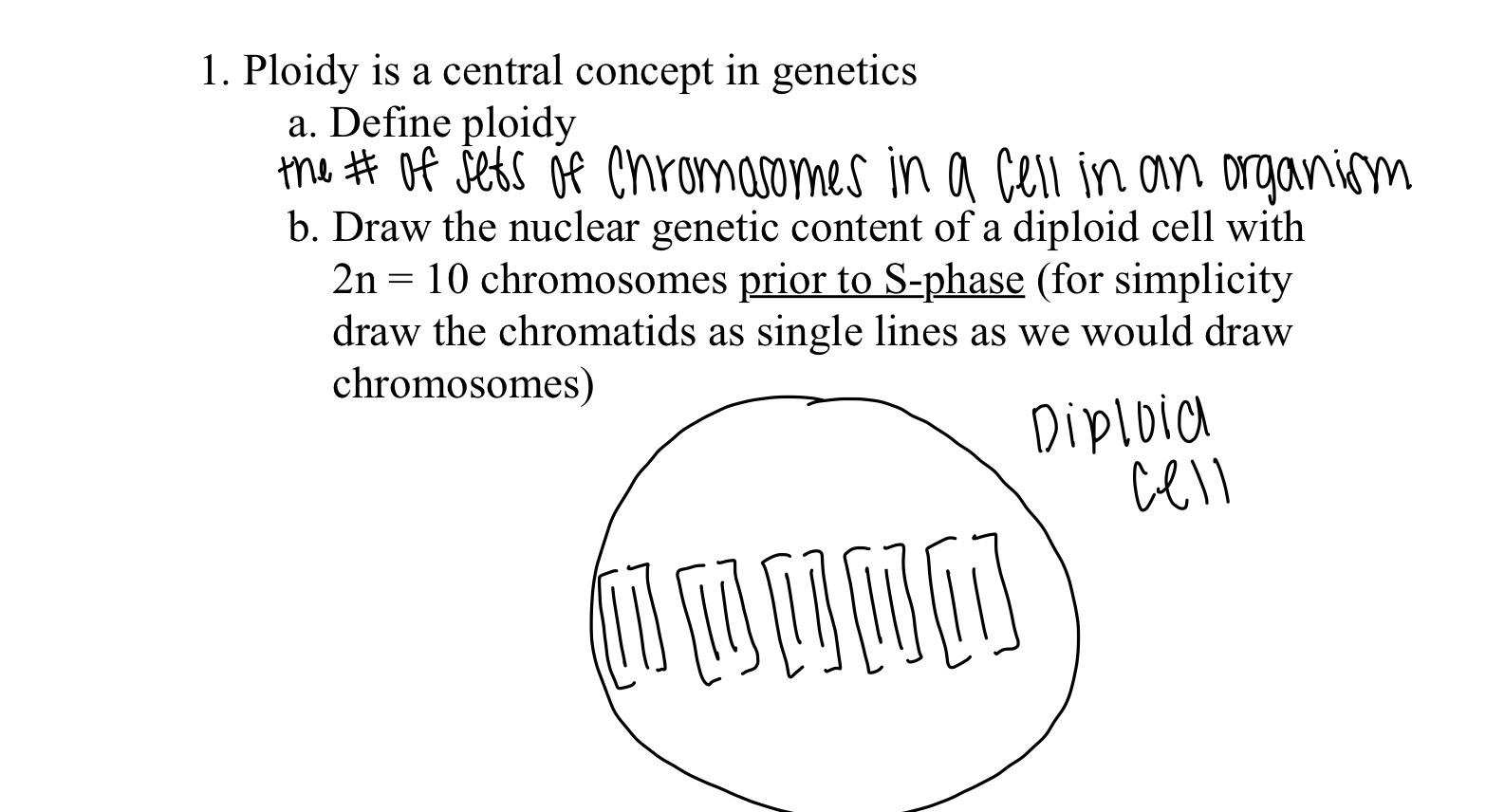 Solved Ploidy is a central concept in genetics a. Define | Chegg.com