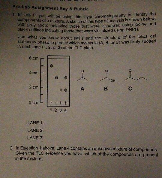 Solved Pre-Lab Assignment Key & Rubric 1. In Lab F, you will | Chegg.com