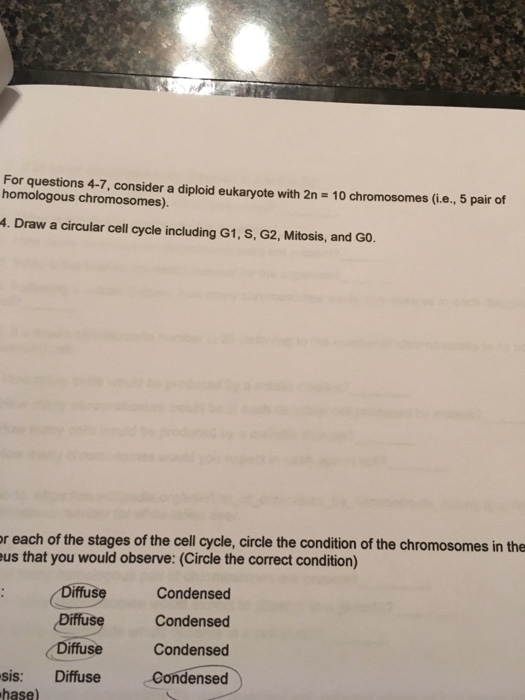 Solved Draw a circular cell cycle including G1, S, G2, | Chegg.com