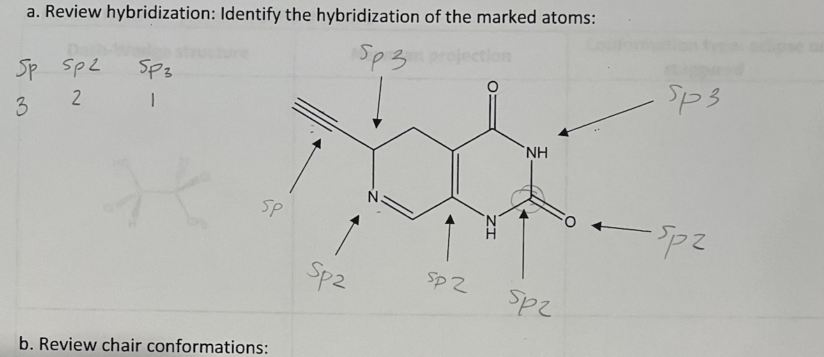 Solved a. Review hybridization: Identify the hybridization | Chegg.com