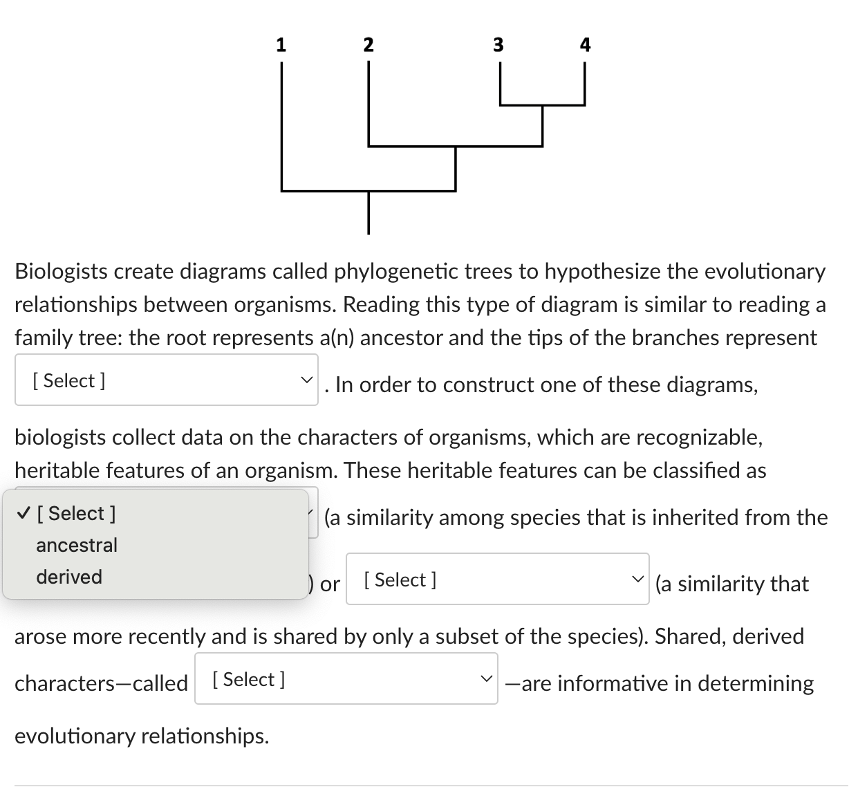 Solved Biologists create diagrams called phylogenetic trees | Chegg.com