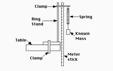 Solved Module 2: Discussion -- Experiment to test Hooke's | Chegg.com