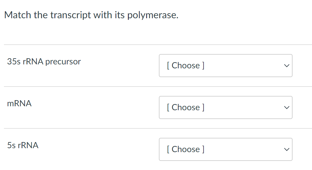 Solved Match the transcript with its polymerase. [ Choose ] | Chegg.com