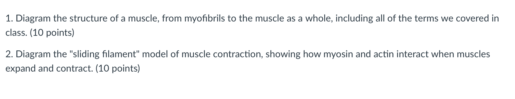 1. Diagram the structure of a muscle, from myofibrils | Chegg.com